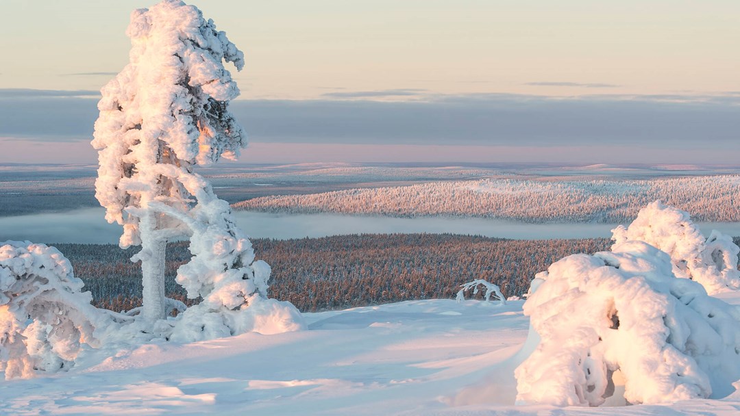 5 countries workshop -myyntitapahtuma Lontoossa - Visit Finland